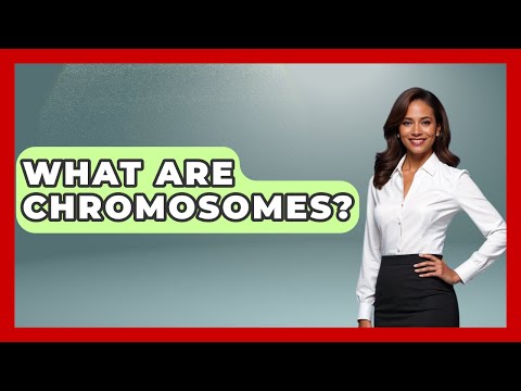 What Are Chromosomes? - Gender Equality Network