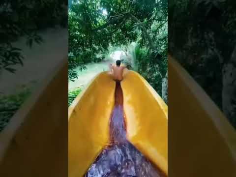 funny animals Best friend
