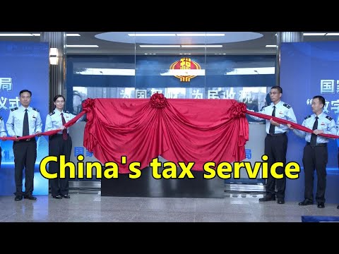 A city in Guangdong, China digitizes local tax services | 中國廣東省某市將地方稅務服務數字化