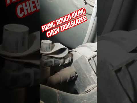 Fixing rough idling Chevy Trailblazer #viral #viralvideo #viralshorts