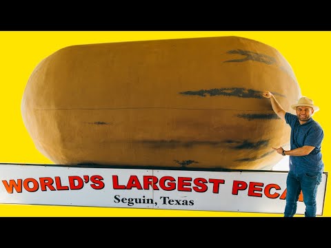 World's Largest Pecan in Seguin, Texas - this is NUTS 🤪