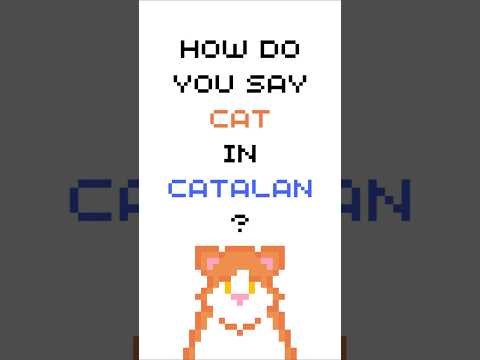 how do you say cat in catalan #cat #cats #languagelearning #catalan