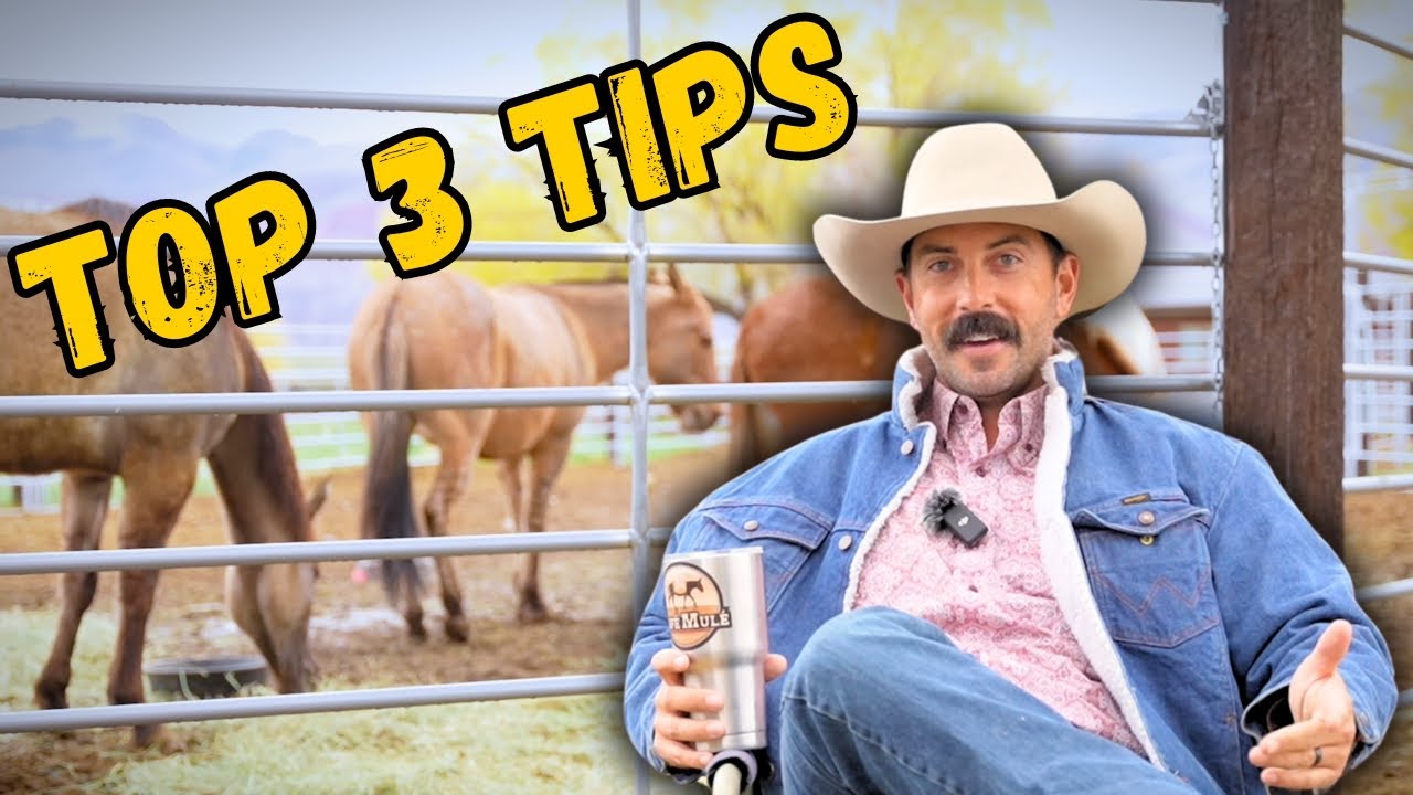 Buying a MULE? Watch This FIRST!!!