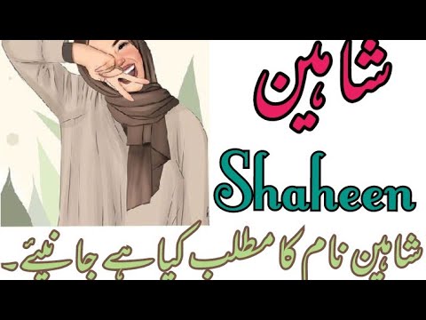 Shaheen name meaning in urdu//شاہین نام کا مطلب کیا ہے//Shaheen name ka matlab//Daily tips with Asma