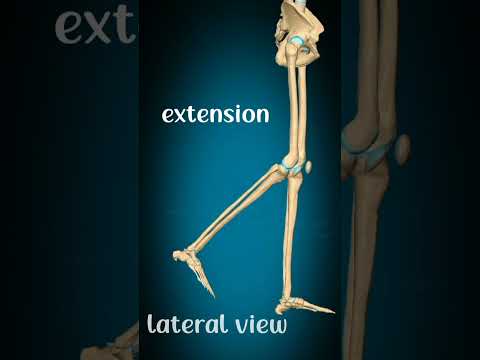 Flexion and extension on knee joint#physiorehab #drsamia