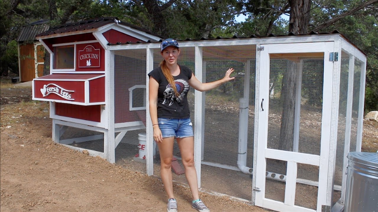 How To Build A Chicken Coop Run | DIY
