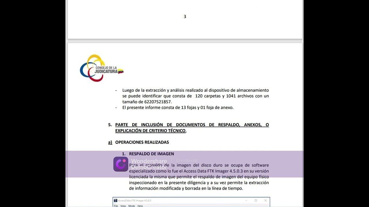 Informe Pericial Informatico