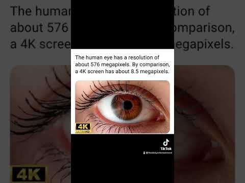 Did you know? The human eye has a resolution of about 576 megapixels by comparison a 4K TV has 8.5