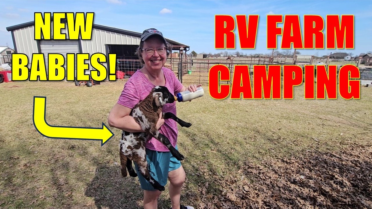 RV Life Meets FARM LIFE (Unexpected Lamb Birth!)