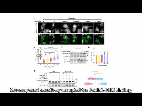 APSB Video Abstract - Volume 14, Issue 5 (Back Cover)
