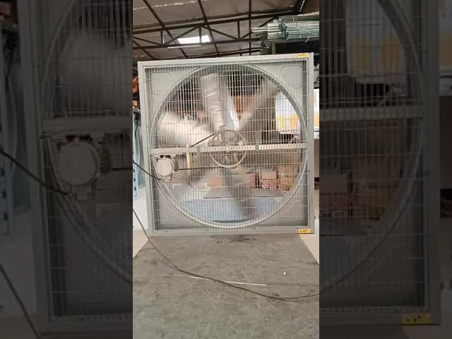Industrial Exhaust Fan - Box Exhaust Fan Manufacturer from Pune