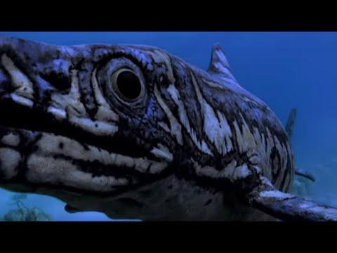 What baby ichthyosaurs ate | Dear Kitty. Some blog