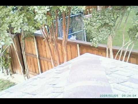 Mr.Petcam - Arnold the cat tours the yard and neighbor's roof