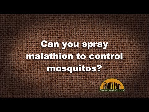 Q&A – Can you spray malathion to control mosquitoes?