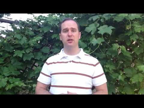 Affordable SEO Los Angeles | Los Angeles SEO & Marketing Services