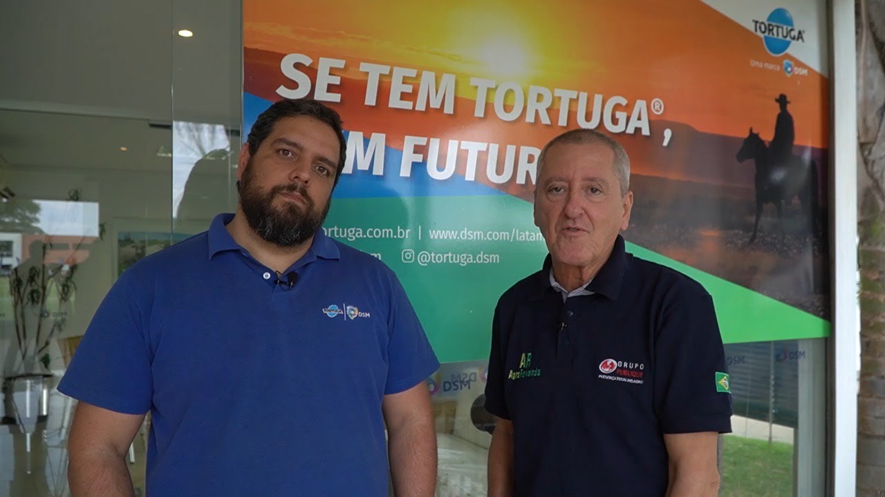 Verão chegando. Nutrição e Reprodução. É DSM – Tortuga – Grupo Publique