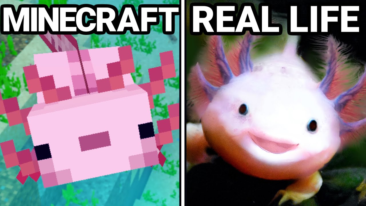 30 Minecraft Items VS Real Life!