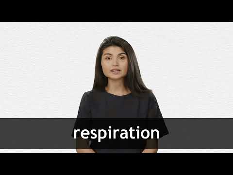 How to pronounce RESPIRATION in American English