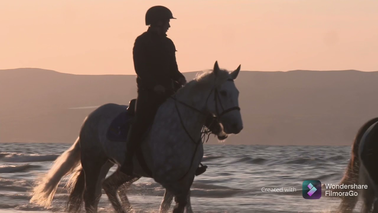 Sunset Beach Rides at Crindle Stables