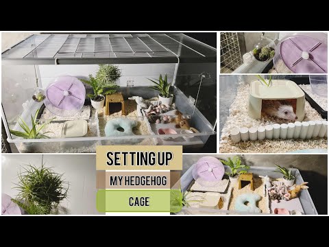 Setting Up my Hedgehog Cage/Simple and Natural