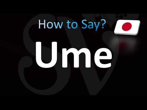 How to Pronounce Ume (Correctly!)