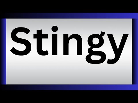 How To Pronounce Stingy | What Is The Meaning Of Stingy