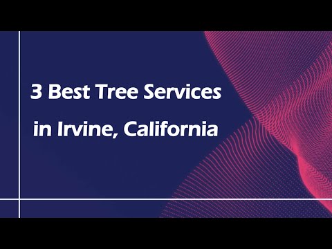 3 Best Tree Services in Irvine, California | Arborists