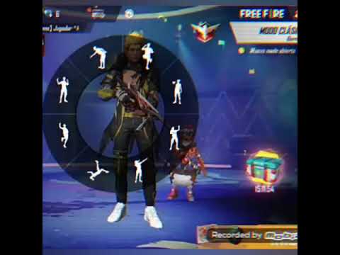PRESECT ALIGH MOTION FF- DESIGNER