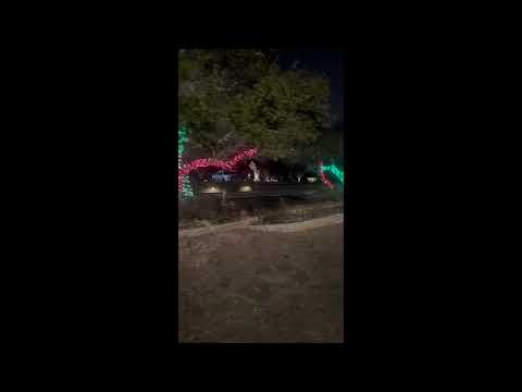 A day – Janicek.com