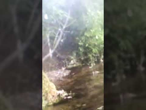 Secret of Squirrel jump