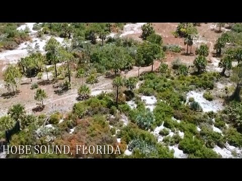 Hobe Sound, Florida Drone Footage