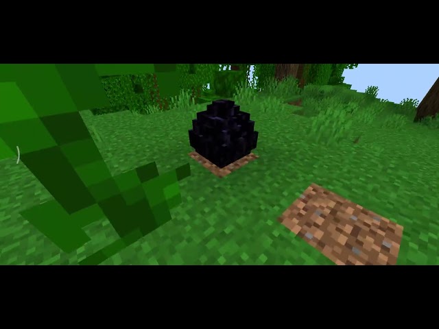 Minecraft Nether Dragon Egg