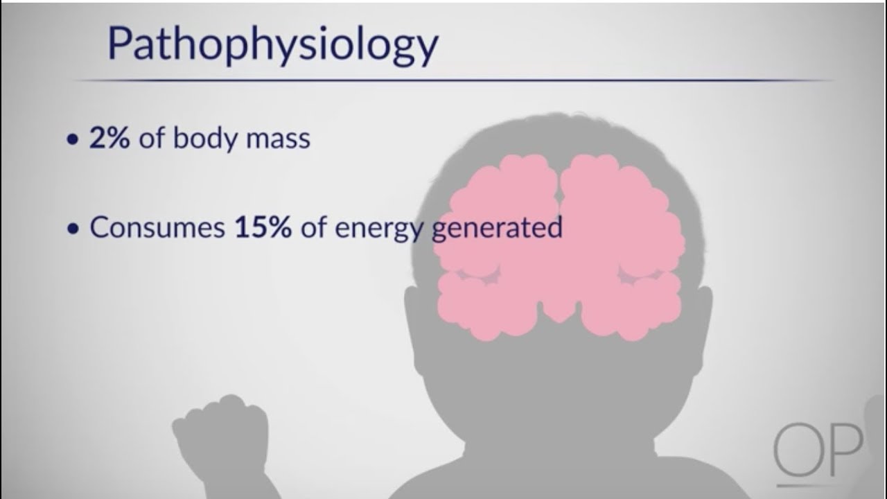 Therapeutic Hypothermia: Treatment of Hypoxic Ischemic Encephalopathy Part 1 by D. Casey