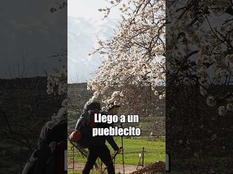 Día 2 cruzando el Líbano entero a pie #lmt #aventura #viaje #senderismo #viajar #viajero
