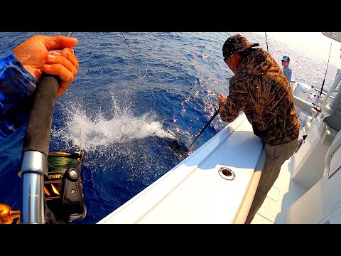 Found A BAIT BALL Covered in TUNAS! (Oregon Inlet Offshore Fishing)