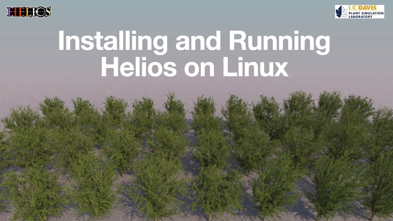 Installing and Running Helios 3D Plant Model on Linux