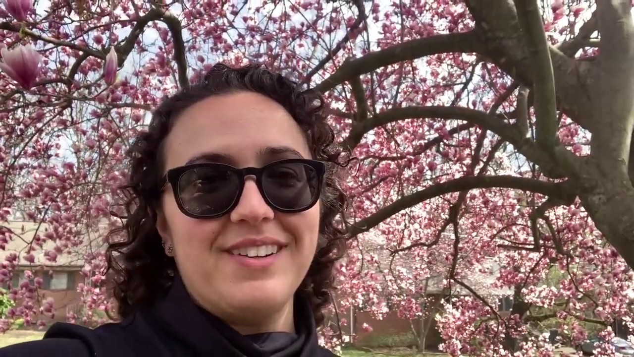 Living Roots, Healthy Soil