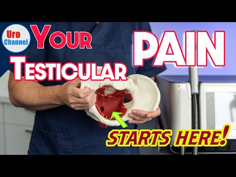One thing you must know about testicular pain | UroChannel