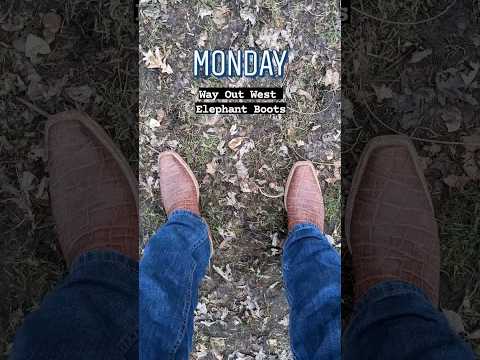 Which are your favorites? Boots of the week 3/6 - 3/10 #cowboyboots #boots #westernwear