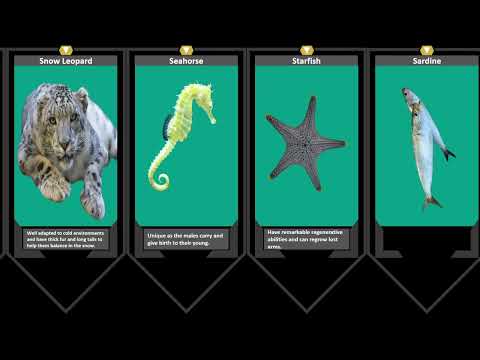 Animals That Start With S - Surprising Selection of Slithering and Soaring.
