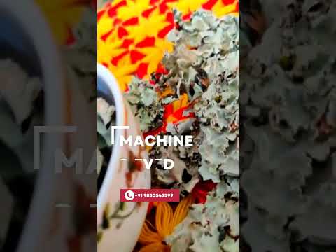 Black Stone Flower - Stone Flower Latest Price, Manufacturers & Suppliers