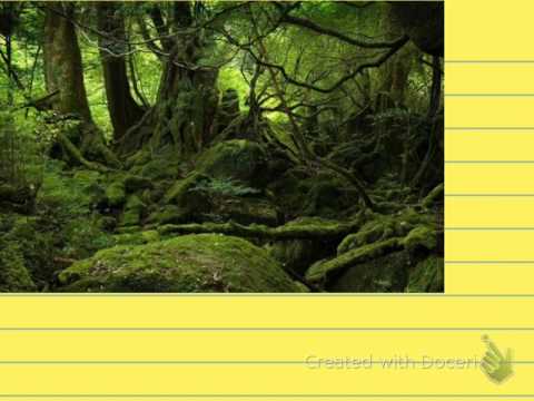 bio 3-7 commensalism species richness