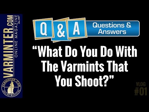 Varminter Q&A VLOG #1 - What Do You Do With The Varmints That You Shoot?