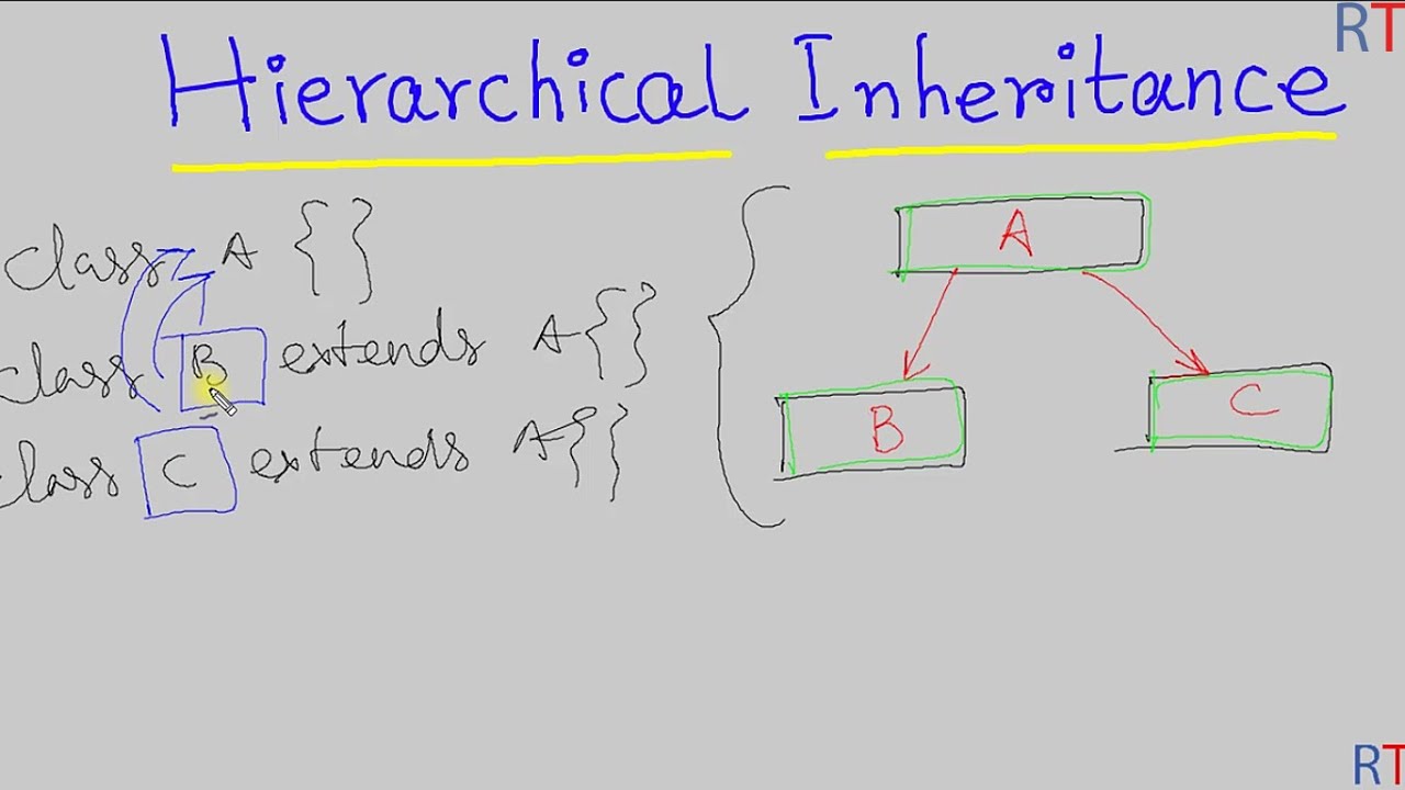 Java-84 Hierarchical Inheritance in Java || Java Programming