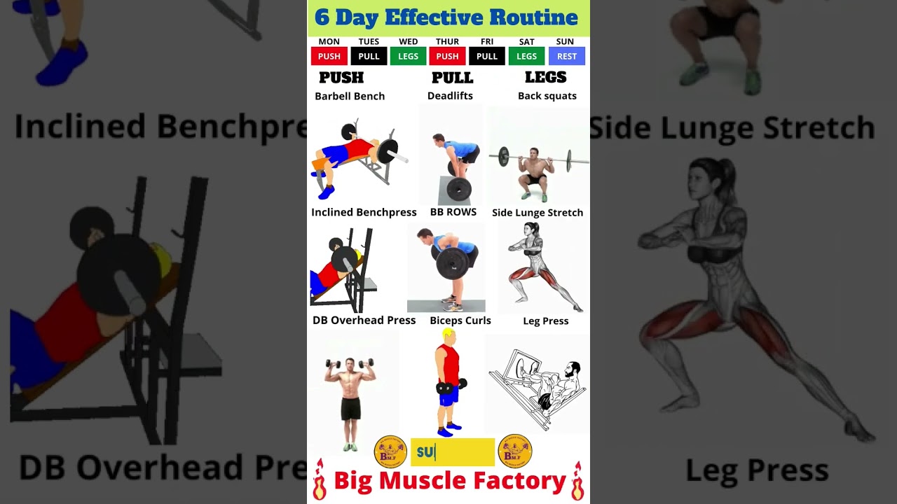 6 Day Effective Plan | Effective workout routine | Push, Pull & Legs workout | #workout