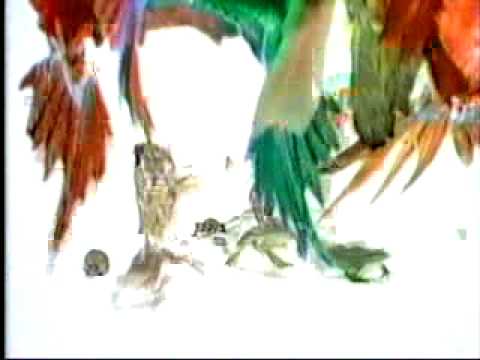 Disney's Amazing Animals Begining - (1996).wmv