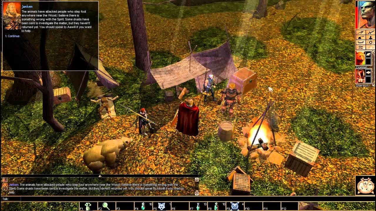 Let's Play Neverwinter Nights 71: Neverwinter Wood