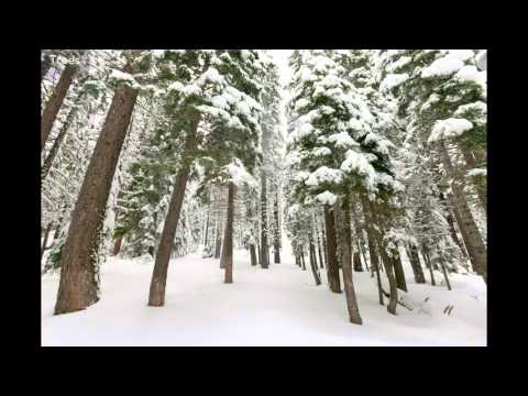 Pineland Chalet by Tahoe Getaways #laketahoe