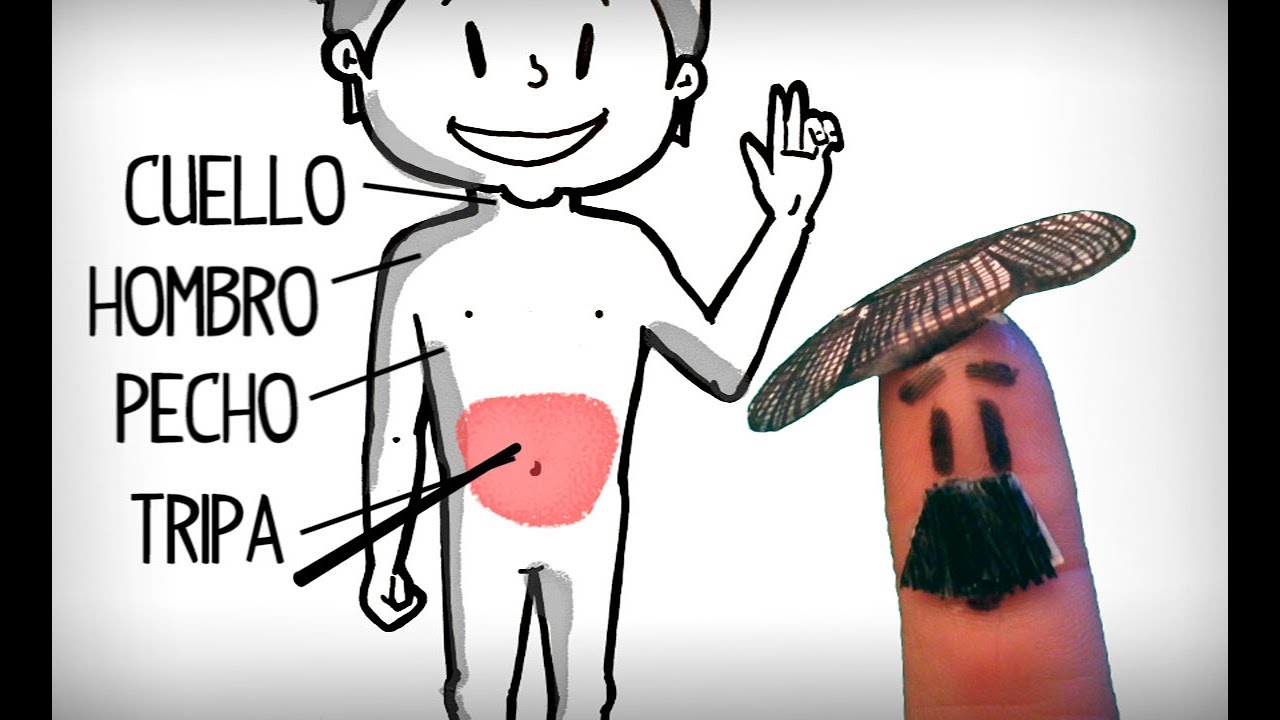 Las partes del cuerpo en español, aprender vocabulario español