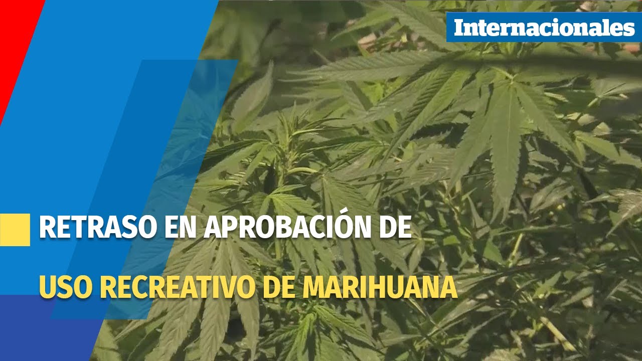 Promotores de marihuana legal en México lamentan la prórroga otorgada al Congreso